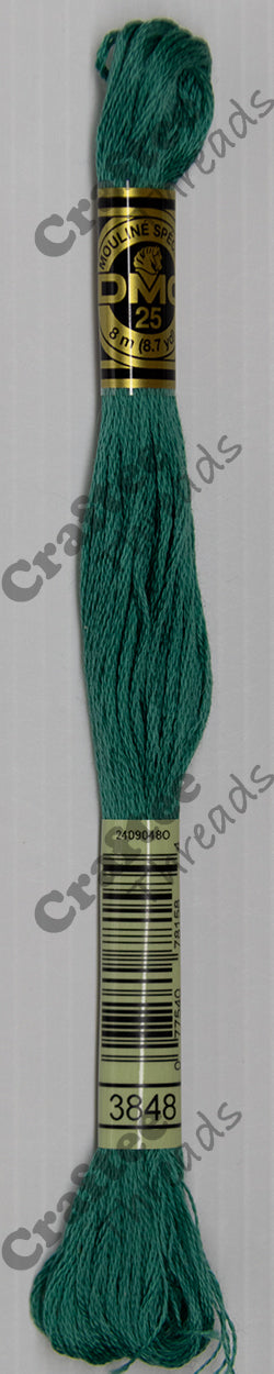 Group 8: DMC Stranded cotton 3800's – Crafteethreads